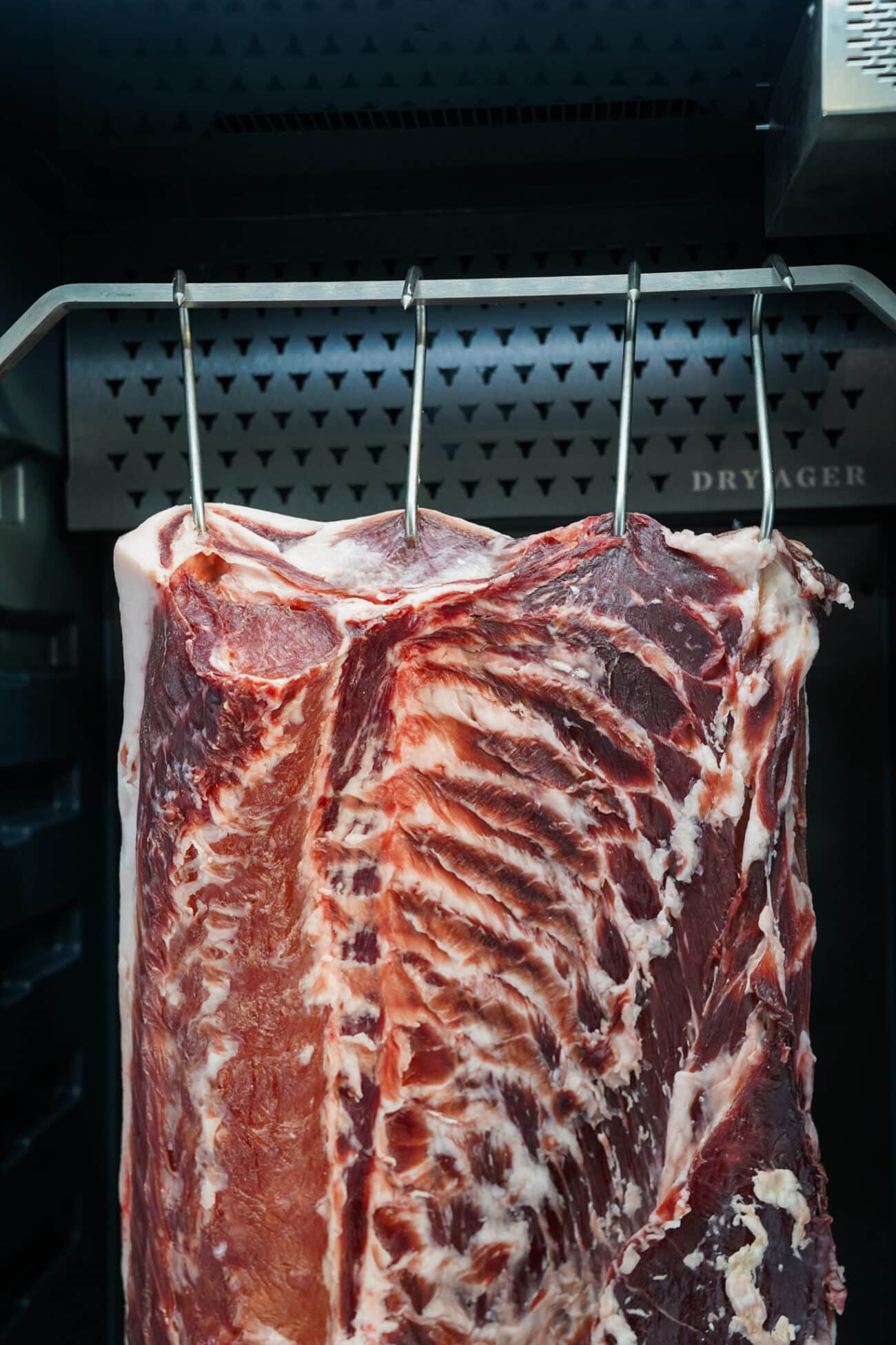 DRY AGER DX1000 Premium with SmartAging® - Viking Food Solutions