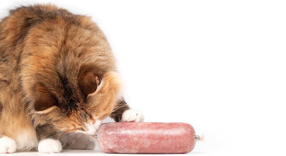 Pet Food Roll Casings - Viking Food Solutions