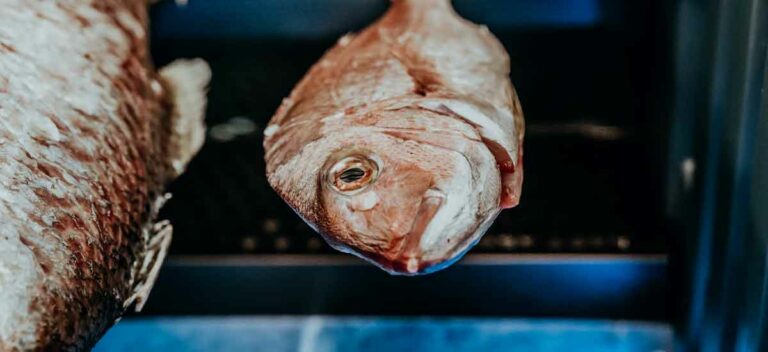 Dry Aged Fish Trial with DRY AGER DX1000 Premium - Viking Food Solutions